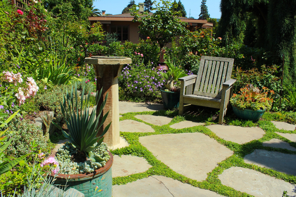 outdoor living Archives | Diana's Designs Austin