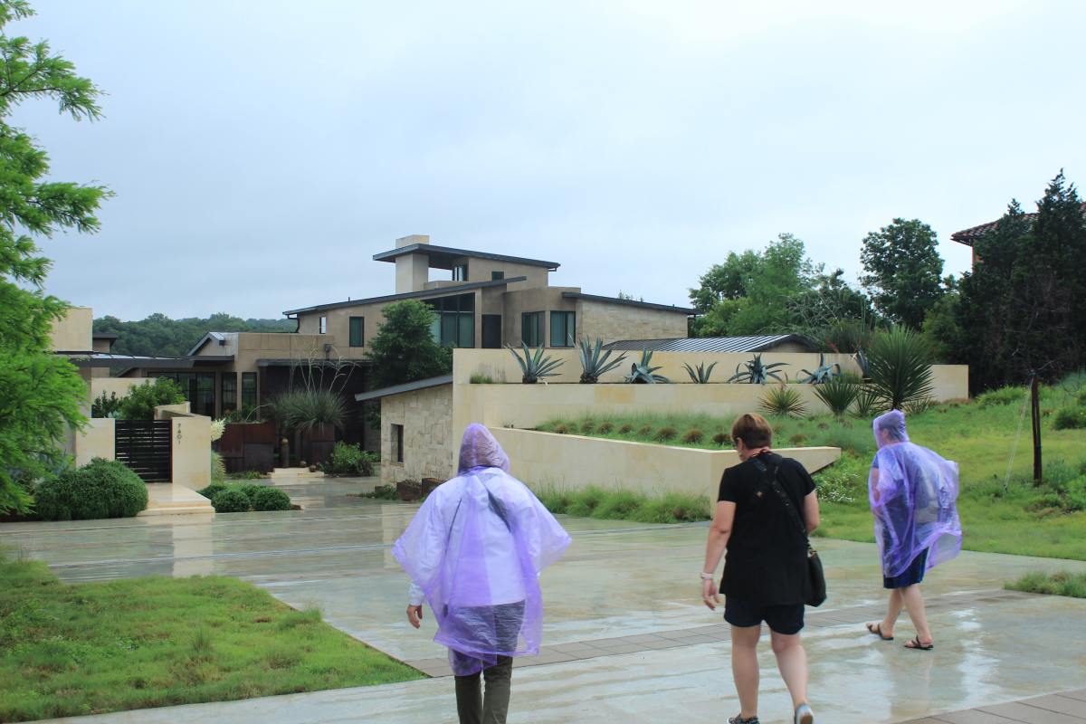 xeriscaping Archives | Diana's Designs Austin