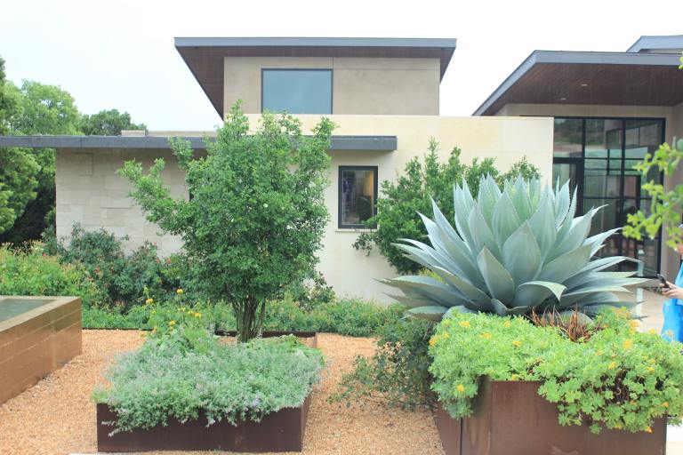 xeriscaping Archives | Diana's Designs Austin