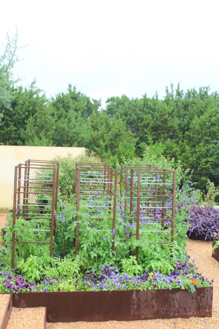 xeriscaping Archives | Diana's Designs Austin