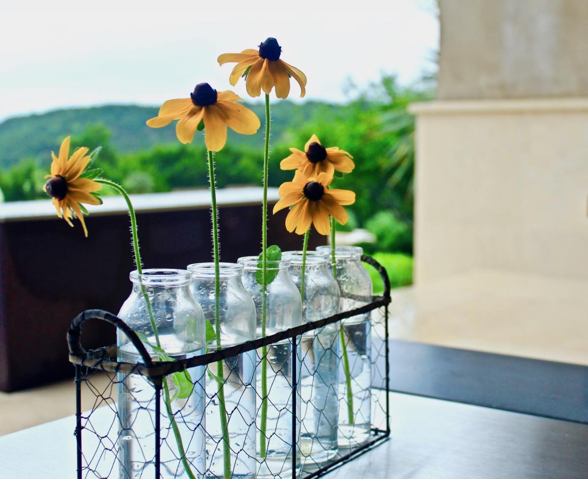 xeriscaping Archives | Diana's Designs Austin