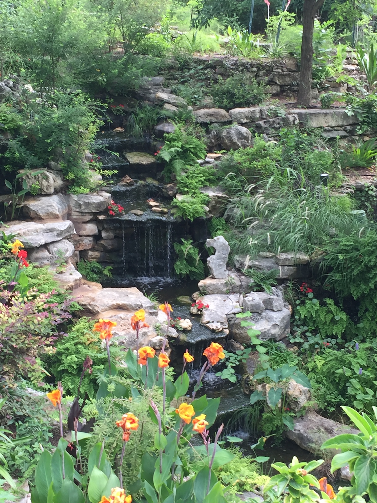 hardscape Archives | Diana's Designs Austin